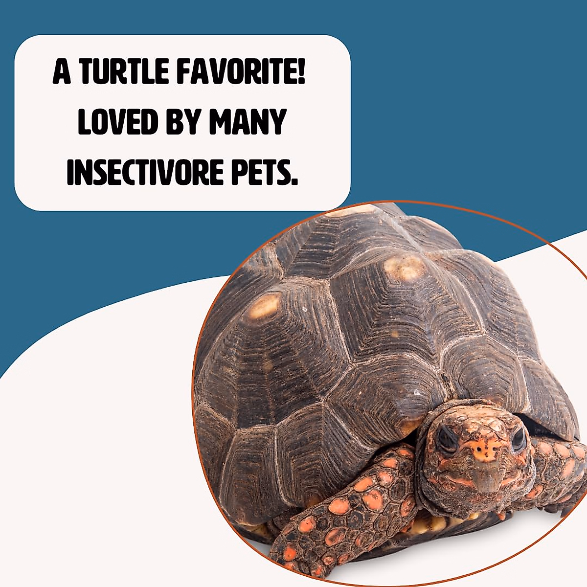 Fluker's Freeze Dried River Shrimp for Reptiles, Packed with Protein and Essential Nutrients, 1 lb. Value Pack