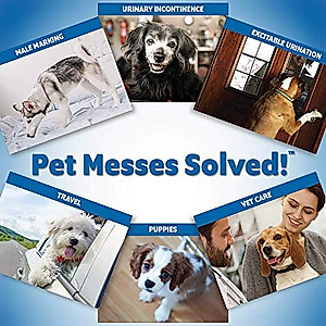 OUT! Pet Care Disposable Male Dog Wraps - Absorbent Male Wraps with Leak Proof Fit - XS/Small (Waist 13-18in) - 32 Count