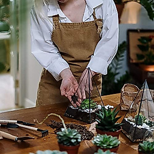 Halatool 3 QT Organic Succulent Soil Potting Mix Garden Top Soil for Indoor & Outdoor Plants Bonsai Aloe Vera Soil for Houseplants Flowers Vegetables & Herbs