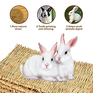 MUYG Rabbit Grass Mat,Grass Mats for Rabbits Bunny Natural Straw Woven Bed Small Animal Hay Matt Sleeping, Chewing, Nesting and Toys for Guinea Pig Hamster and Rat Bed Mat (6 Pcs)