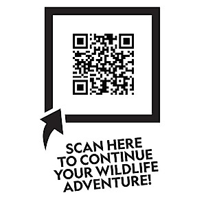 National Geographic Kids Large Stuffed Animal, 15-Inch Super Soft and Hyper-Realistic Gorilla Plush, Packaging from Recycled Materials, Kids Toys for Ages 3 Up, Amazon Exclusive