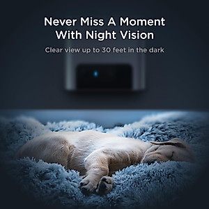 Petcube Bites 2 Lite Interactive WiFi Pet Monitoring Camera with Phone App and Treat Dispenser, 1080p HD Video, Night Vision, Two-Way Audio, Sound and Motion Alerts, Cat and Dog Monitor