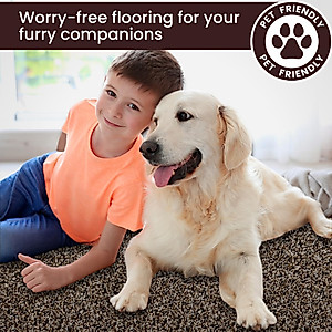 Smart Squares in A Snap Premium Made in The USA Carpet Tiles 18x18 Inch, Soft Padded, Seamless Appearance, Peel and Stick for Easy DIY Installation (10 Tiles - 22.5 Sq Ft, 383 Rustic Charm)