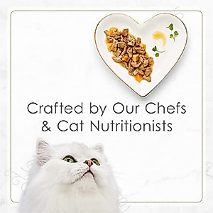 Purina Fancy Feast Gourmet Gravy Wet Cat Food, Petites Turkey & Sweet Potato Entree - (Pack of 12) 2.8 oz. Tubs