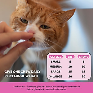 Pet Honesty Cat Multivitamin Chews - Cat Treats for Health + Immune, Cat Joint Support, Skin & Coat, and Digestion | Omega 3s, Lysine for Cats, Cat Probiotic, Cat Vitamins - Chicken (30-Day Supply)