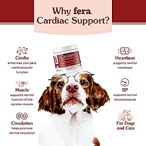 FERA PET ORGANICS Cardiac Support Supplement for Dogs and Cats, Improves Blood Flow, Energy – with Taurine, CoQ10, Organic Hawthorn Berry, Supports Cardiovascular Heart Health – 120 Capsules