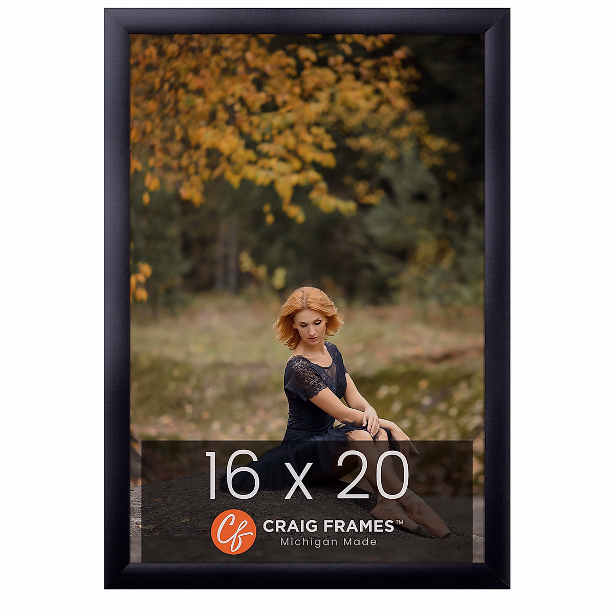 Craig Frames 16x20 Picture Frame, Modern Black with Plexiglass for Posters, Art, and Photography