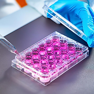 JECOMPRIS 2pcs 24 Well Cell Culture Plate Cultivation Plates Laboratory Reaction Tray for Laboratory