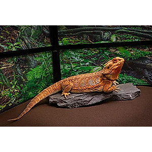 Carolina Custom Cages Natural Habitat Rocks, Deep Maroon, Medium Size Pair