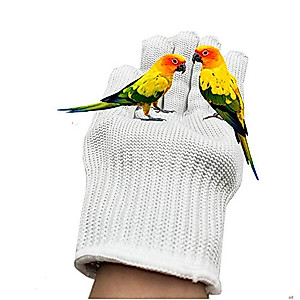 alfyng Bird Training Anti-Bite Gloves, Parrot Chewing Safety Protective Gloves, Small Animal Handling Gloves for Parrotlets Cockatiels Finch Macaw (1 Pair White)