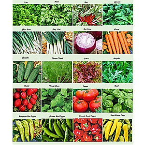 Set of 20 Assorted Organic Vegetable Seeds & Herb Seeds for Planting 20 Varieties Create a Deluxe Garden All Seeds are Heirloom, 100% Non-GMO Lettuce Seeds, Sweet & Hot Pepper Seeds, Green Onion Seeds