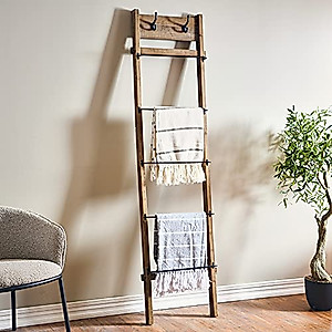 Creative Co-Op Fir Wood Wall Metal Bar and 2 Hooks Decorative Ladder, Natural