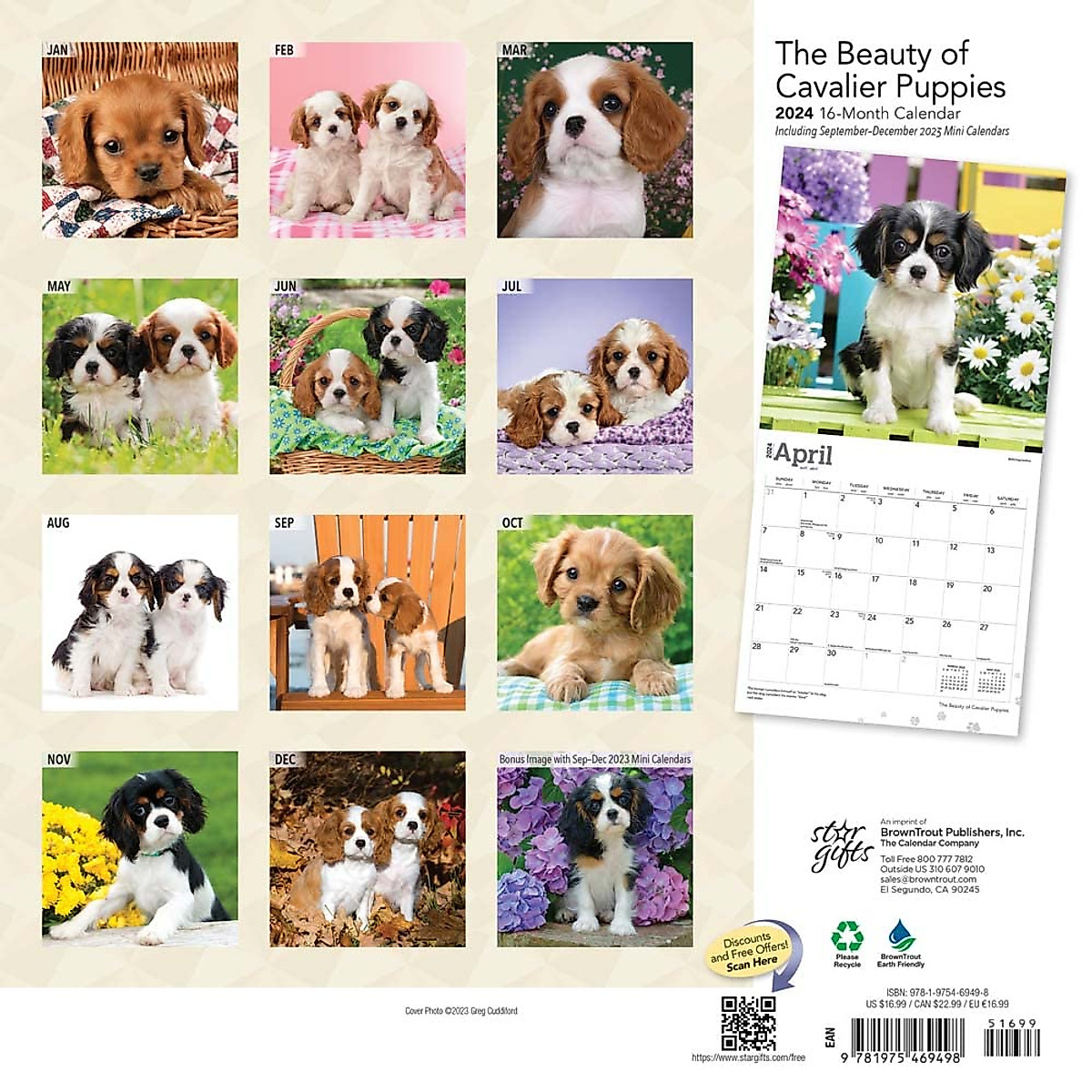 The Beauty of Cavalier King Charles Spaniel Puppies | 2024 12 x 24 Inch Monthly Square Wall Calendar | Sticker Sheet | StarGifts | Animals Dog Breeds Puppy