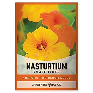 Nasturtium Flower Seeds for Planting (Dwarf Jewel) - Edible Flower Open Pollinated, Non-GMO Annual Flower Seed for Flower Gardens by Gardeners Basics