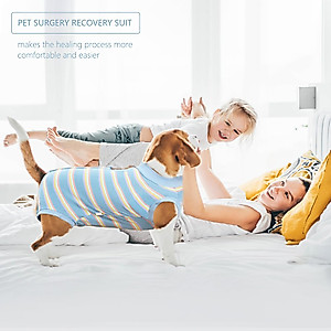 SHIAOMIN Pet Recovery Suit After Surgery - Abdominal Wounds Breathable Striped Leisure Wear Shirt, E-Collar Alternative Cats Dogs Neuter Spay Anti Licking Clothes for Male Female Pets (Large)