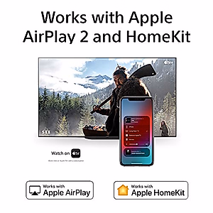 Sony XBR-48A9S 48-inch MASTER Series BRAVIA OLED 4K Smart HDR TV - 2020 Model