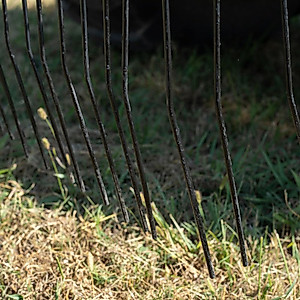 Titan Attachments 3 Point 4 FT Pine Straw Needle Rake, Category 0 Tractors, Coil Spring Tines, Drag-Behind Landscape Rake