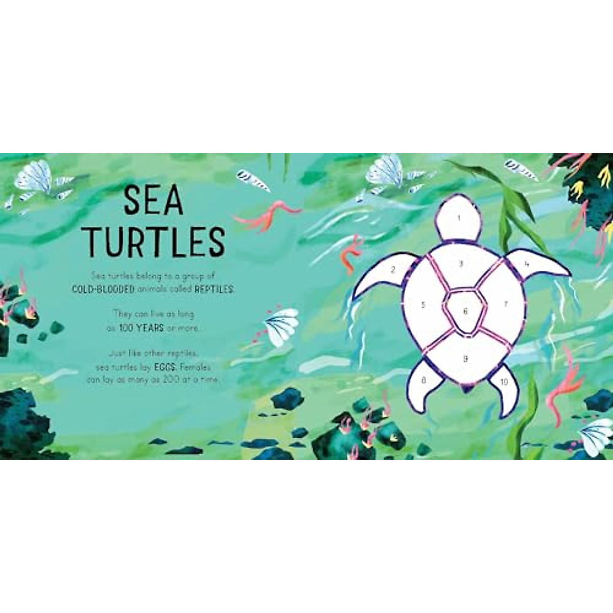 Color with Stickers: Ocean: Create 10 Pictures with Stickers!