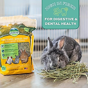 Oxbow Animal Health Orchard Grass Hay - All Natural Grass Hay for Chinchillas, Rabbits, Guinea Pigs, Hamsters, Gerbils & Other Small Pets - Fiber Rich- Grown in the USA- 9 lb.