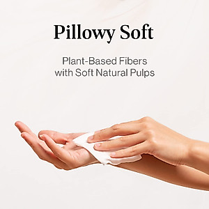 HAVIT Signature Edition Flushable Wipes for Women, Plant-Based Cloth with Natural Pulp, Plantago Asiatica Extracts, 360 Coutns (60 Cloth of 6 Packs)