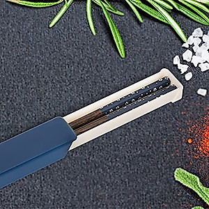 Top Grade Japanese Natural Wood Chopsticks, 1 Pair with Case, Reusable Classic Style, Value Gift Set(Blue)