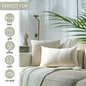 Stellhome Pack of 2 Super Soft Throw Pillow Covers Rectangle Solid Velvet Pillowcase for Bed Couch Sofa Bench, 12 x 20 inch (30 x 50 cm), Beige