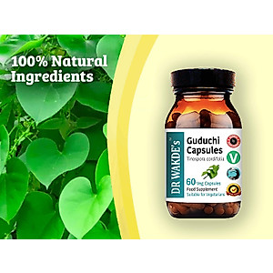 DR WAKDE'S Guduchi Capsules (Tinospora cordifolia, 60 Veg Caps, Plant-Based Supplement, Ayurvedic Herb, All Natural, Vegan)