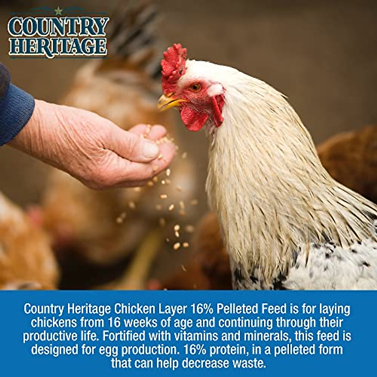 CountryMax Hen Egg Layer Pellet 16% Chicken Feed 50 Pounds