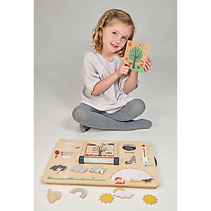 Tender Leaf Toys - Weather Watch - Educational Wooden Weatherboard for Kids - Perfect Climate Teaching Toy Station for Kids to Play and Learn for Age 3+