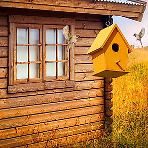 Kalekey 2.6inch Screw Eyes Heavy Duty Screws Eye Bolts Stainless Steel Eye Hooks Self Tapping Eyelet Screw for Wood Indoor & Outdoor Use(Sliver 40PCS)