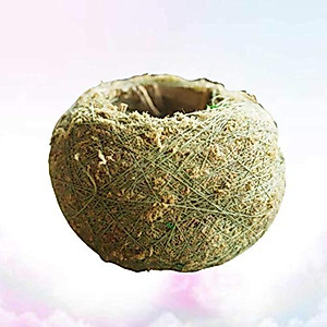 Generic 5pcs Moss Ball Planter Japanese Style Natural Kokedama Flower Vase Flower Pot Creative Sphagnum Flower Holder Potted Hydrating Bonsai Plants Containers for Home Wedding Decor