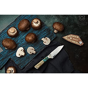 Dalstrong Paring Knife - 4 inch - Valhalla Series - 9CR18MOV HC Steel - Celestial Resin & Wood Handle - Professional Kitchen Knife - Razor Sharp - w/Leather Sheath