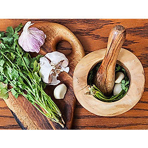 500 Organic Cilantro Seeds for Planting Outdoors or Indoors, Leisure Splits, 4.2 Grams, Giving You The Cilantro Plant You Need, Coriander Seeds, Semilla de Cilantro