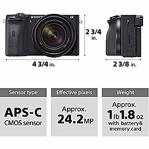 Sony Alpha a6600 Mirrorless Digital Camera 24.2MP 4K (Body Only) + 64GB & 32GB Memory Cards, Sturdy Equipment Carrying Case, Spider Tripod, Camera Flash, Software Kit and More