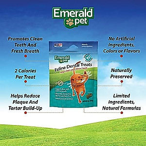 Feline Dental Treats — Tasty and Crunchy Cat Dental Treats Grain Free — Natural Dental Treats to Clean Cat Teeth, Freshen Cat Breath, and Reduce Plaque and Tartar Buildup — Ocean Fish Treats, 3 oz