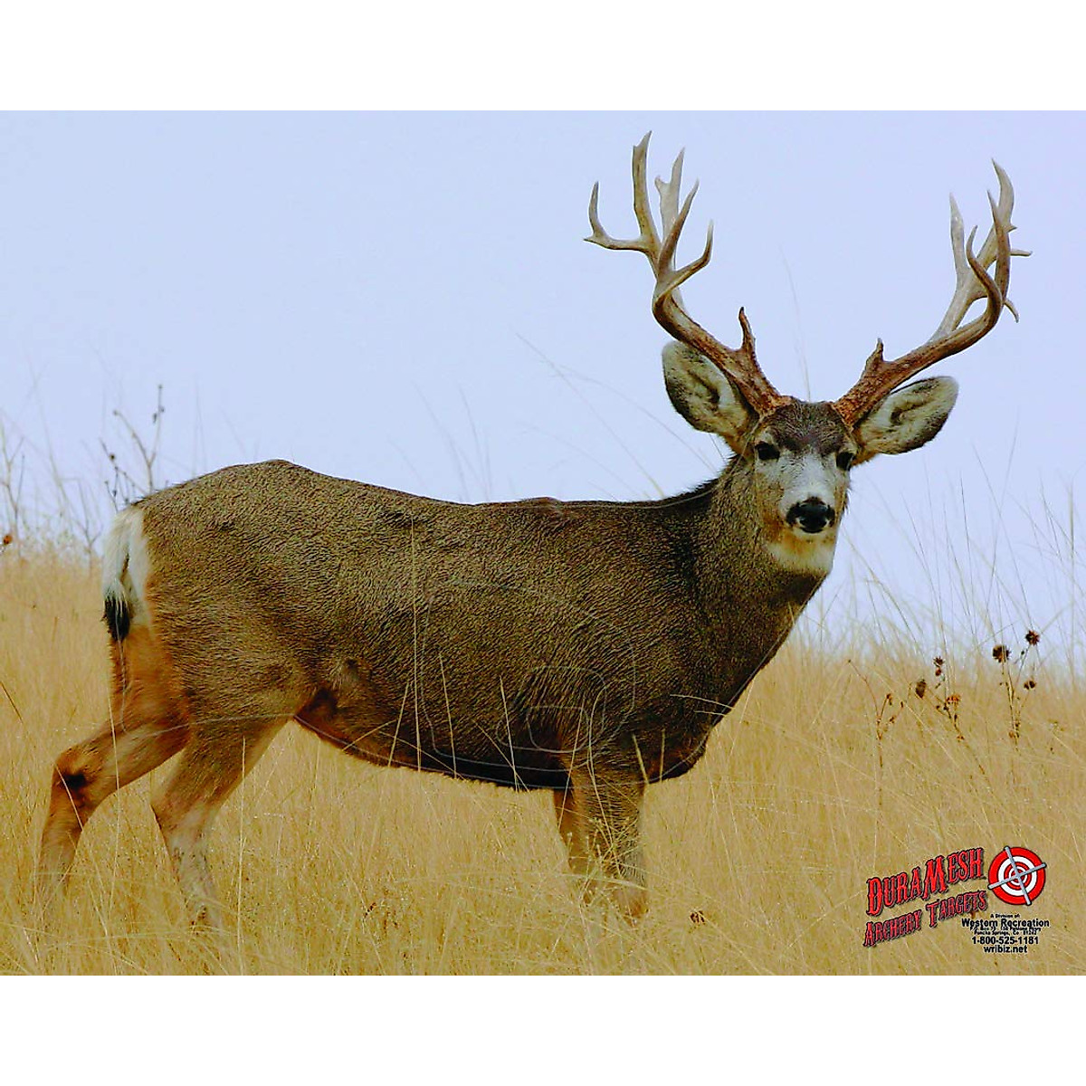 Duramesh Archery Targets Mule Deer #2, DM216