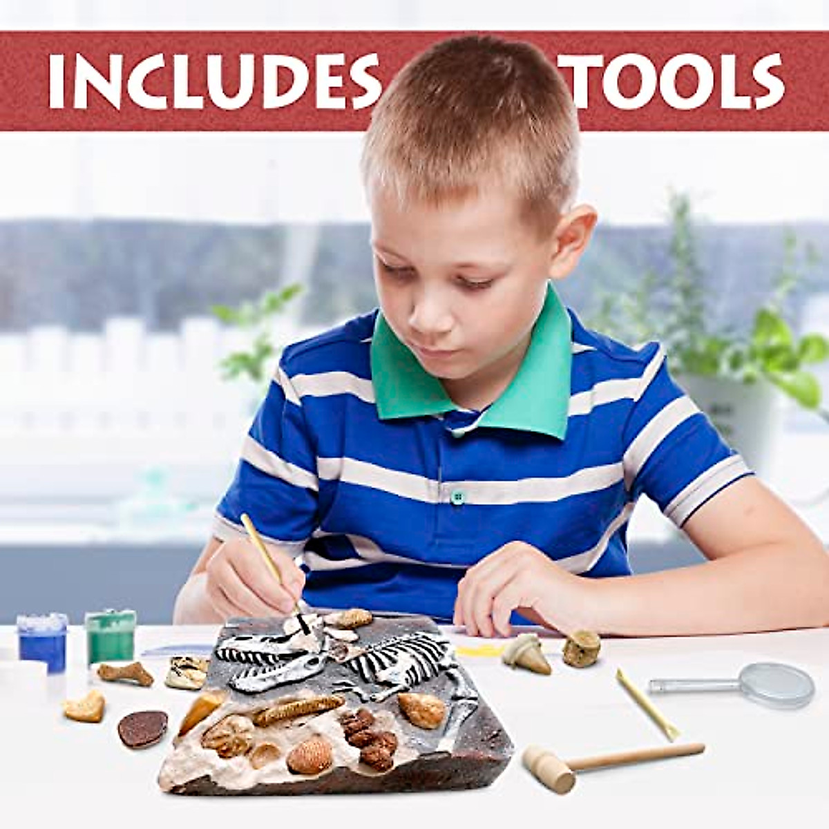 DANCING BEAR Fossil Dig Kit, Excavate 15 Prehistoric Fossils Including Real Dinosaur Bones and Shark Teeth, Paleontology STEM Education for Kids, Fun Science Activity Gift Sets for Girls and Boys