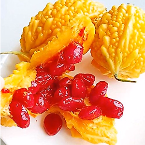 10+ Momordica Vegetable Seeds Annuals Bitter Melon (Gourd) Vine Heirloom Home Garden Non-GMO