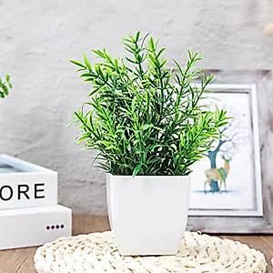 ZJIA 2 Packs Fake Plants Small Artificial Greenery Faux Plants Indoor for Home Farmhouse Bathroom Shelf Decor