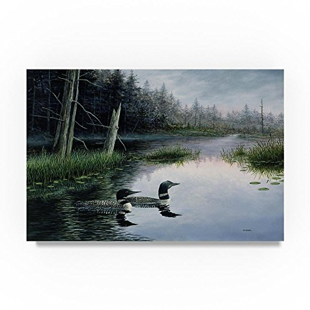 Trademark Fine Art ALI21238-C1219GG Misty Morn