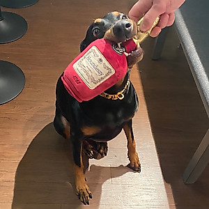 Houndessy Plush Toy - Funny Alcohol Dog Toy - Squeaky Dog Toys for Small, Medium, and Large Dogs - Dog Accessories - Puppy Supplies - Cool Puppy Toys