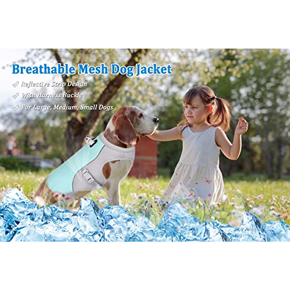 TVMALL Dog Cooling Vest Breathable Mesh Dog Jacket Summer Cool and Comfortable Dog Coat Adjustable with Reflective Strip Pet Clothes Suitable for Large Medium and Small Dogs (S, New-Blue)