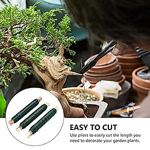 DOITOOL 3pcs Iron Wire Gardening Tree Wire DIY Bonsai Wire Stems Aluminum Bonsai Training Wire Bonsai Tool Kit Heavy Duty Wire Bonsai Wires Anodized DIY Kits Flexible Metallic Paint
