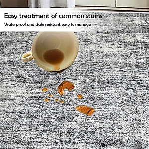 Area Rug 5x7 Washable Throw Rugs with Rubber Backing Stain Resistant Non-Slip Waterproof Foldable Thin Grey Rug Retro Carpet for Living Room Office Bedroom Bedside (C03, 5'x7')