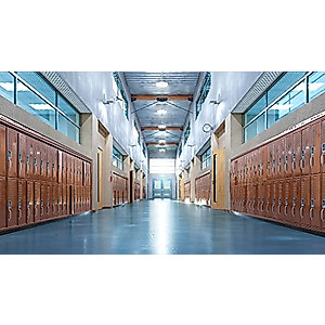 Lithonia Lighting CPRB ALO14 UVOLT SWW9 80CRI DBL LED Round High Bay with Switchable Color Temperature and Adjustable Light Output Switch, Multi-Volt 120-347V, 15-Inch, Black