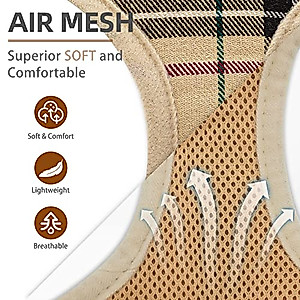 PUPTECK Soft Mesh Dog Harness and Leash Set Pet Puppy Cat Comfort Padded Vest No Pull Harnesses, Beige, S