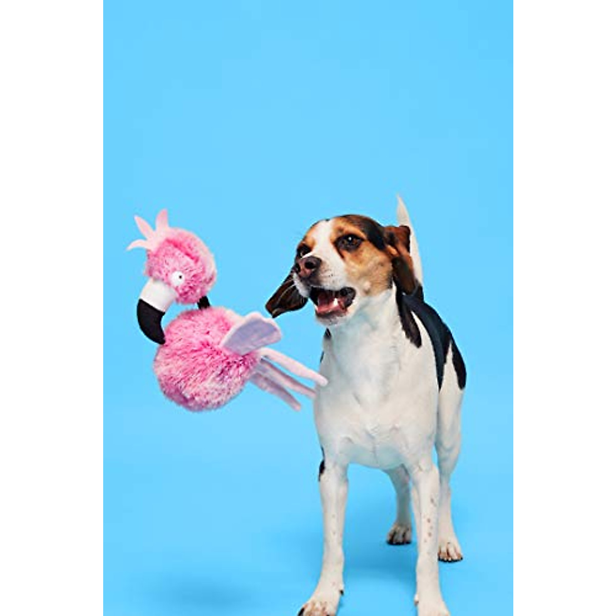 Barkbox Dog Rope Toys - Durable Tug Toys for Chewers, Puppy Teething, and Small, Medium, and Large Dogs | Bert of Paradise