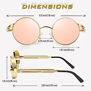 GQUEEN Retro Round Circle Steampunk Sunglasses for Women Men Polarized UV400 Protection,MTS2
