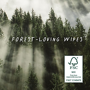 Joonya Baby Wipes - Non-Toxic, Earth-Friendly Baby Wipes for Calm, Healthy Skin - Fragrance Free Baby Wipes - Bulk Baby Wipes - 3 Packs of 80 Diaper Wipes (240)