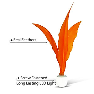 Paddle Ball Game Jazzminton Deluxe with LED Birdie - Indoor/Outdoor Game for Kids, Teens and Adults